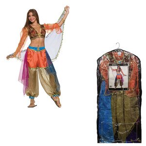 Designer Harem Dancer Costume, Corset Top w/Sleeves, Veil, Pants Adult ...